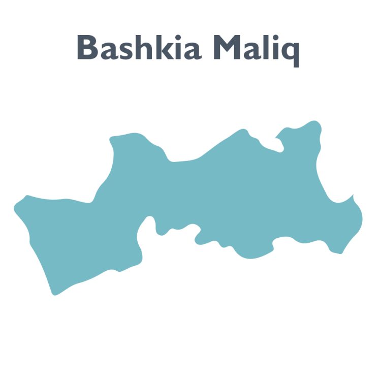Maliqi, bashkia që nuk ka ndryshuar kryetar që nga viti 2000 - Reporter.al