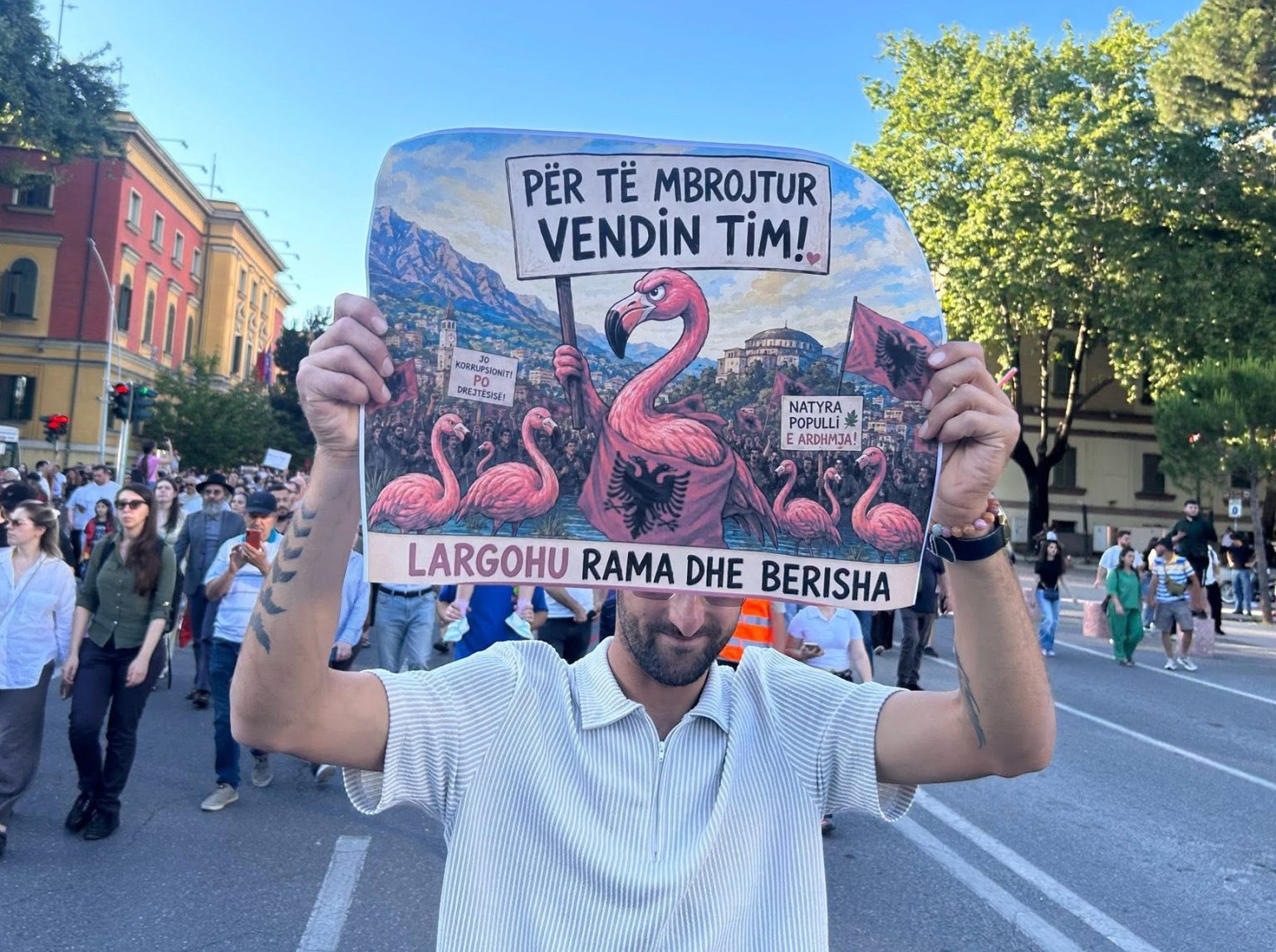 Mushkonjat e Strasburgut, flamingot e Zvërnecit dhe fabula e Ezopit ...