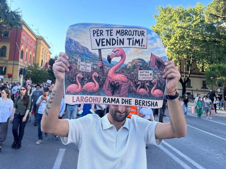 Gjuha e Shqipërisë së re dhe një përgjigje për Mero Bazen